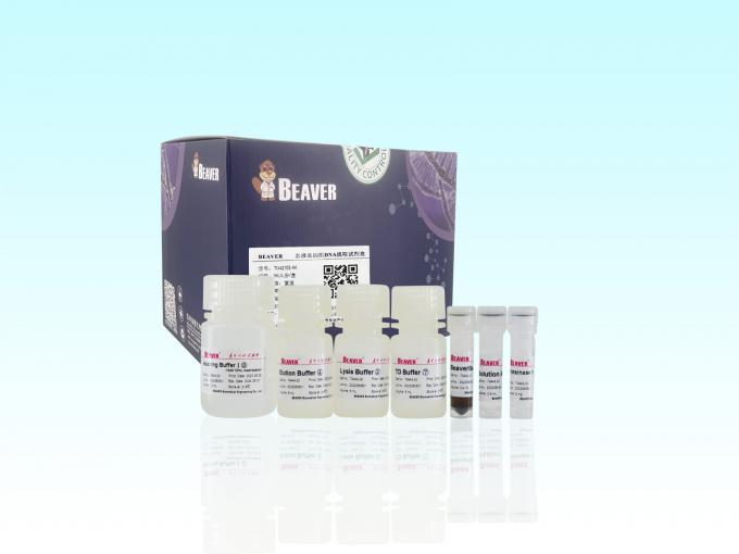 Blood DNA Extraction Kit Extract DNA Used For Sequencing And Detection