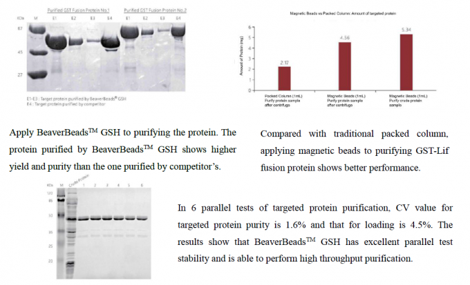 100 Rxns Glutathione Agarose GSH For Protein Purification With 10% ...