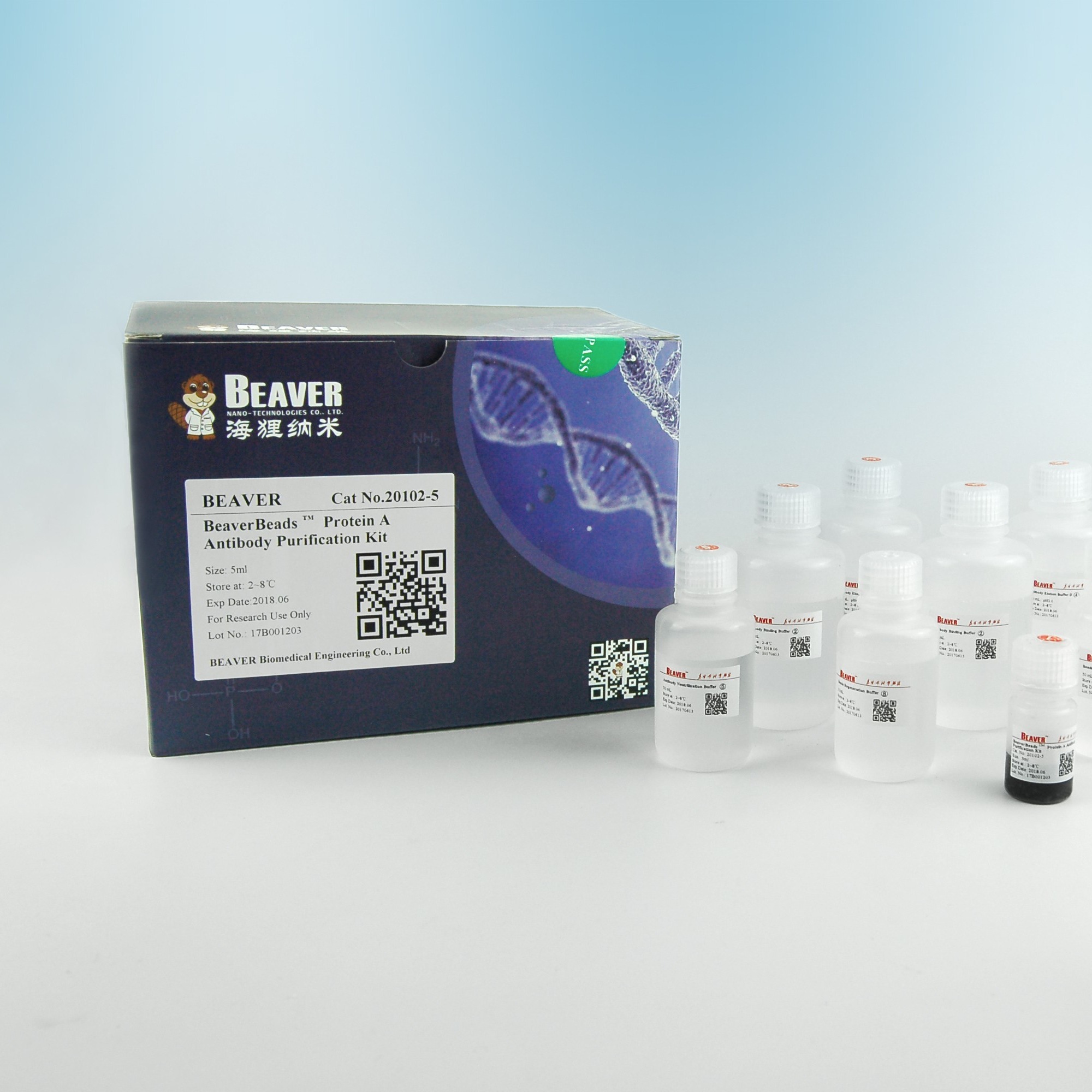 Protein A Antibody Magnetic Beads Protein Purification 2μm 30 mg / mL 5 mL